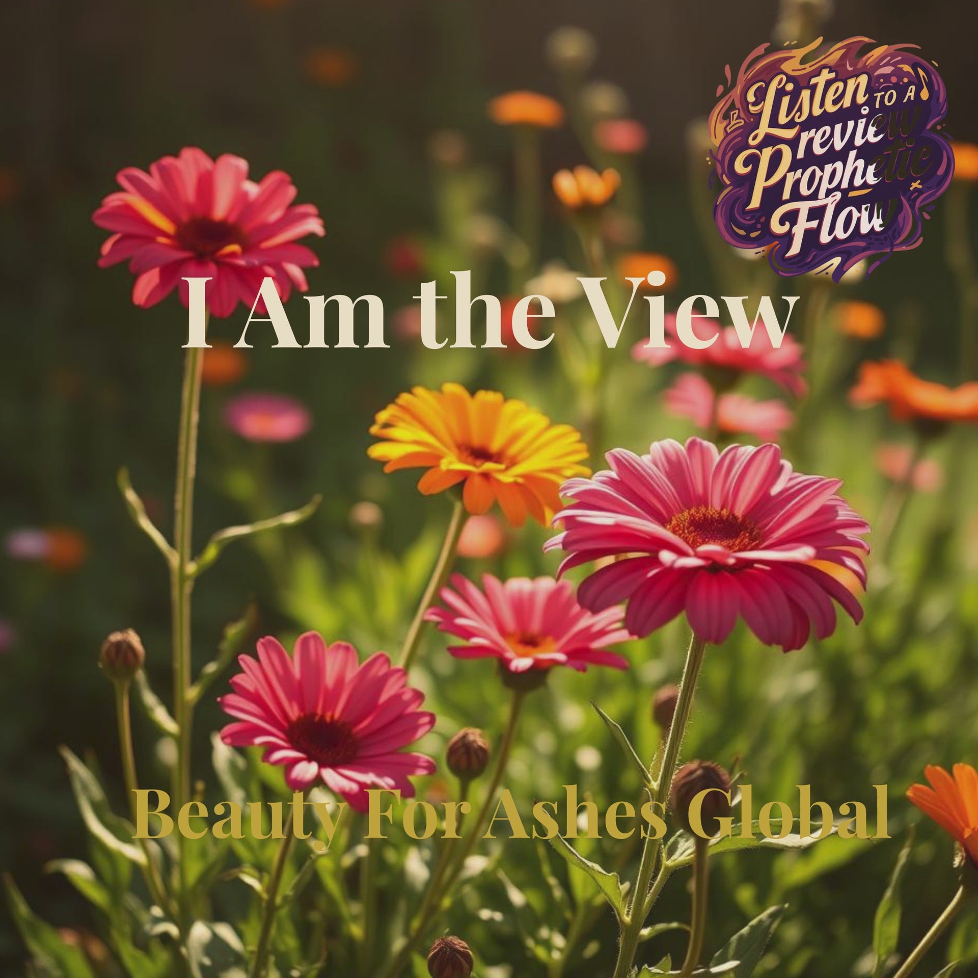 I AM the VIEW (Digital Audio) – Welcome Beauty for Ashes Global